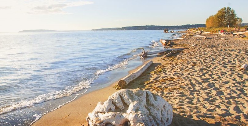 Jetty Island Ferry: A Beach Day Adventure from Everett